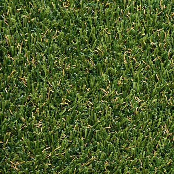 Bandera Pet | Southern Turf Co